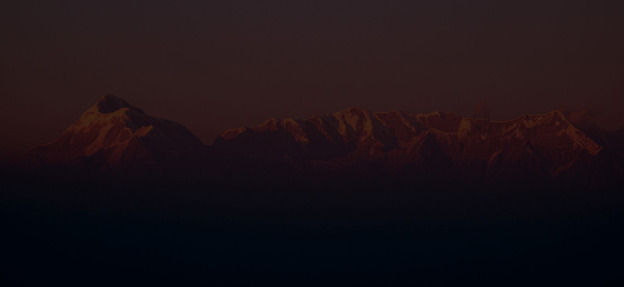 Home Page - Live Dead