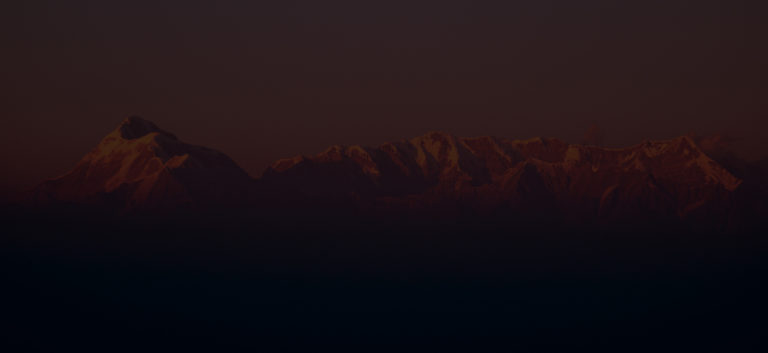 Home Page - Live Dead